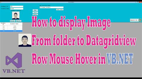 display image on datagridview row mouse hover in vb datagridview