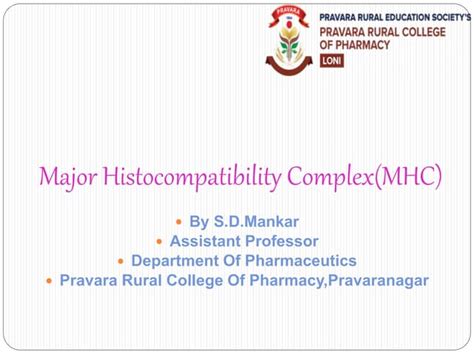 Mhc Major Histocompactibility Complex Definition Classification