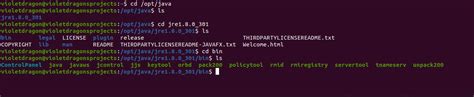 how to install java web start and java se runtime in ubuntu
