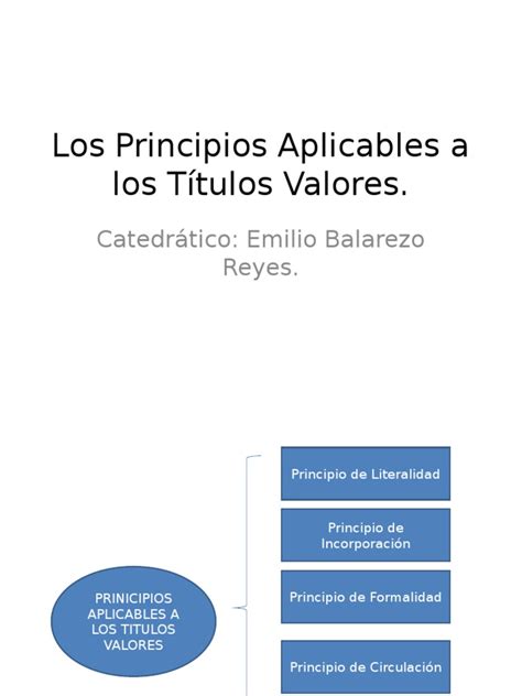 Los Principios Aplicables A Los Titulos Valores Pdf