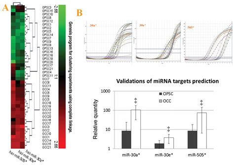 mirna expression pattern associated with prognosis in elderly patients