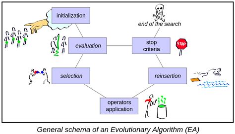 file evolutionary algorithm svg wikimedia commons