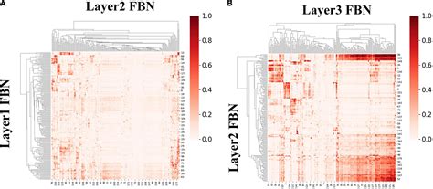 Frontiers Hierarchical Spatio Temporal Modeling Of Naturalistic