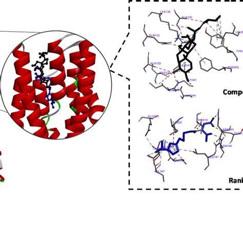 2d And 3d Representations Of The Predicted Binding Modes As Well As