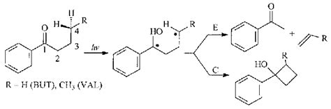 Scheme 1 Reaction Scheme Of The Norrish Type Ii Reaction For