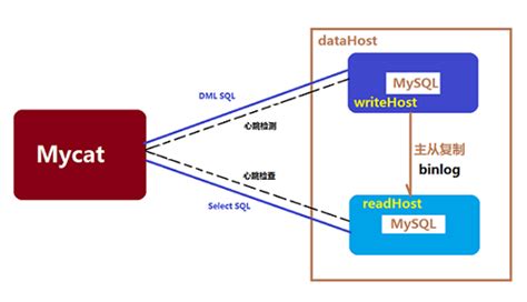 mysql 集群 对比 sequoiadb 弹性扩展 sequoiadb技术博客 sequoiadb巨杉数据库