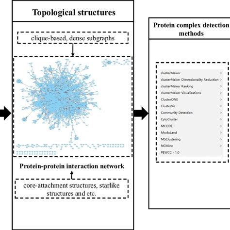 Comparative Analysis Of Identified Protein Complexes From Different