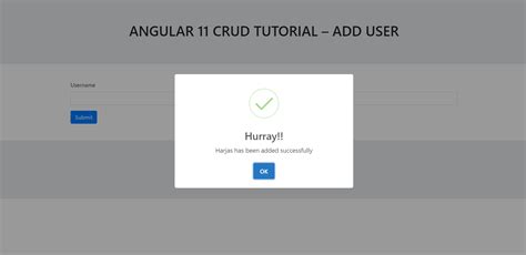 angular 11 crud tutorial add user therichpost