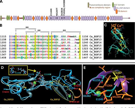 Figure 3 From Rare And Common Variants In Extracellular Matrix Gene