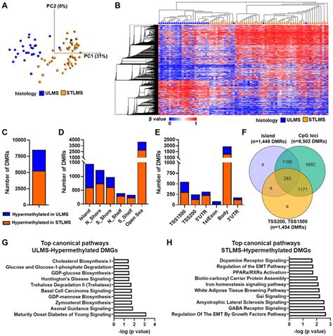 Dna Methylation Landscape Of Lms A Principal Component Analysis Of