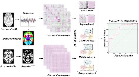 Brain Sciences Free Full Text Aberrant Multimodal Connectivity