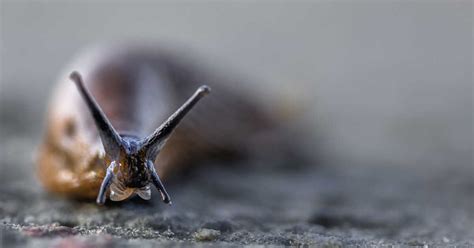 how to create a custom views argument plugin in drupal