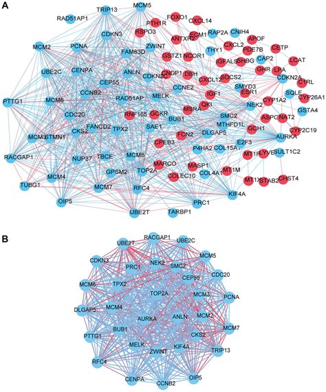 Degs Ppi Network Complex And Modular Analysis A Using The String
