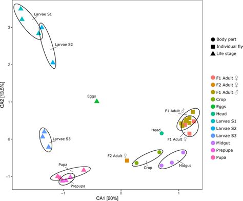 Life Cycle Microbial Community Evolution Correspondence Analysis Ca