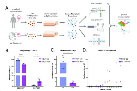 Schematic Presentation Of Analysis Workflow And Differentiation And