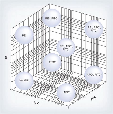 Full Article Mhc Peptide Tetramers For The Analysis Of Antigen