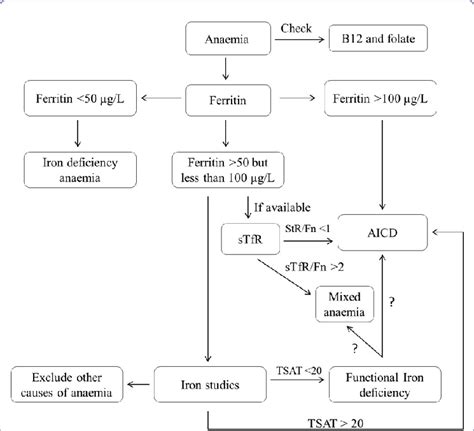 Algorithm For Investigating Anaemia In The Older Person Aicd Anaemia