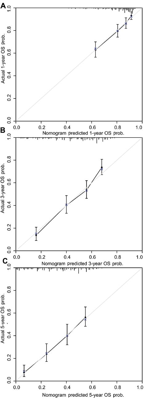 Calibration Curves Of The Nomogram Predicting Os In The Development