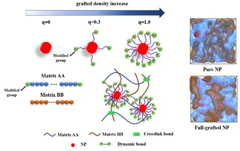 Molecular Dynamics Simulation Of Polymer Nanocomposites With