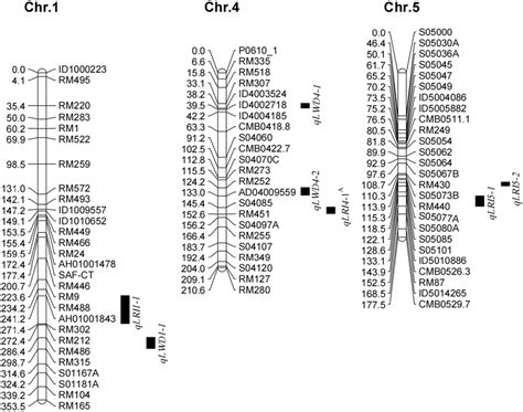 Quantitative Trait Locus Qtl Analysis Of The Leaf Rolling Index Lri