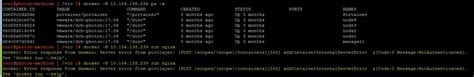 virtually curious docker error response from daemon server error