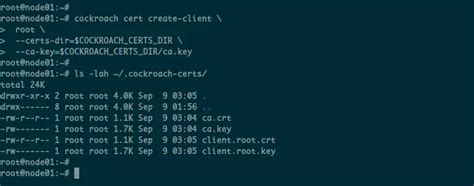 how to deploy secure cockroachdb cluster on ubuntu 20 04 server
