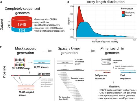Datasets And The Computational Pipeline For Spacer Analysis A The