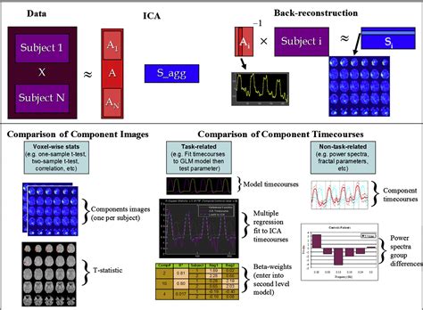 Figure 2 From A Review Of Group Ica For Fmri Data And Ica For Joint