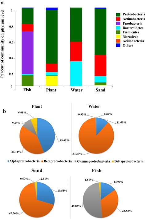 The Bacterial Community Composition Of The Four Sample Types At The