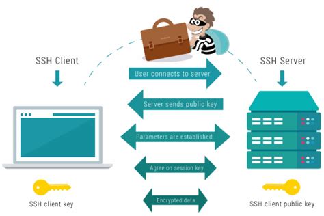 ssh and wordpress a detailed guide for 2021 acowebs