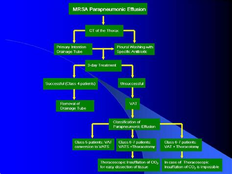 Pathophysiology Of Pleural Effusion In Flow Chart A Visual Reference