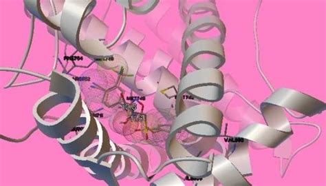 Visualization Of Active Binding Sites Of Protein With Bound Ligand Pk42