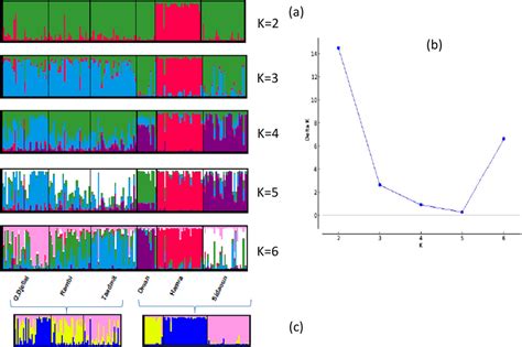 genetic structure of algerian sheep breeds by bayesian analysis with 30