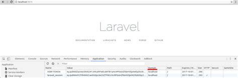 laravel route subdomain keeping the user logged in for subdomains