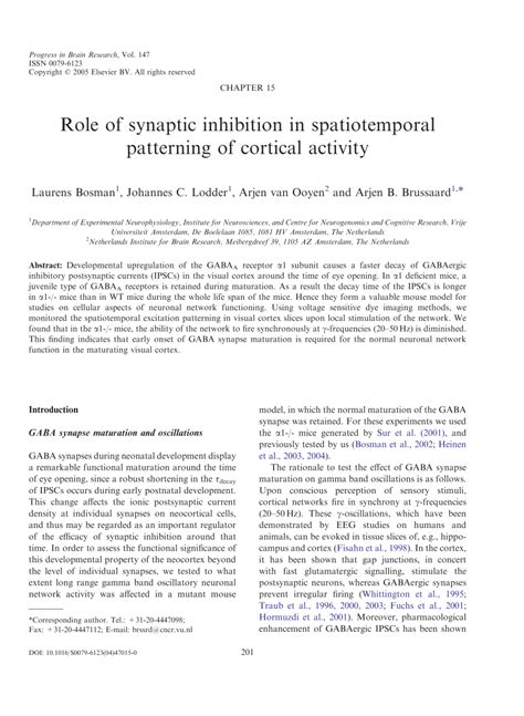 Pdf Role Of Synaptic Inhibition In Spatiotemporal Patterning Of