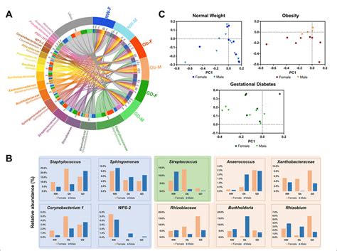 Colostrum Taxonomic Profile At Genera Level A Circos Representation