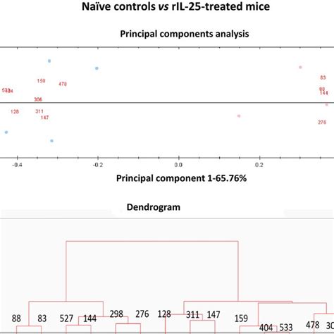 Multivariate Statistical Analysis Applied To The Set Of 41 Manually