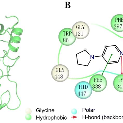 Binding Mode Analysis A The Predicted Binding Mode Of Compound 48 With