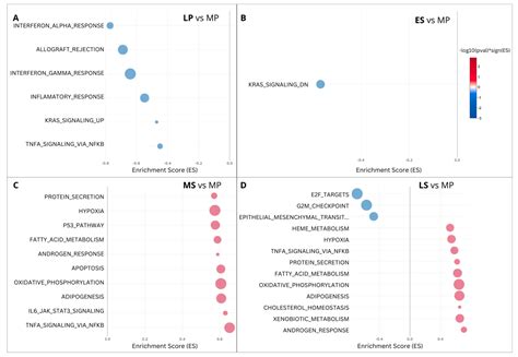 Ijms Free Full Text Endometrial Proliferative Phase Centered View