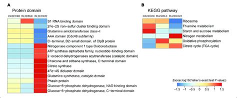 Functional Enrichment Based Clustering Analysis Of The Quantified