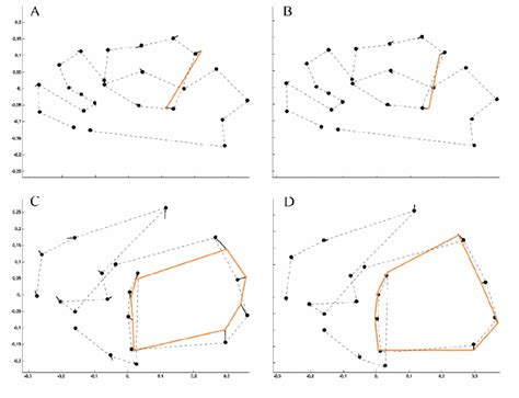 Deformations Implied By The Cv1 Transformation Of The Consensus Shape