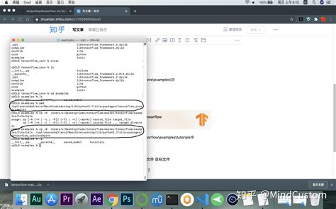 no module named tensorflow examples tutorials 知乎