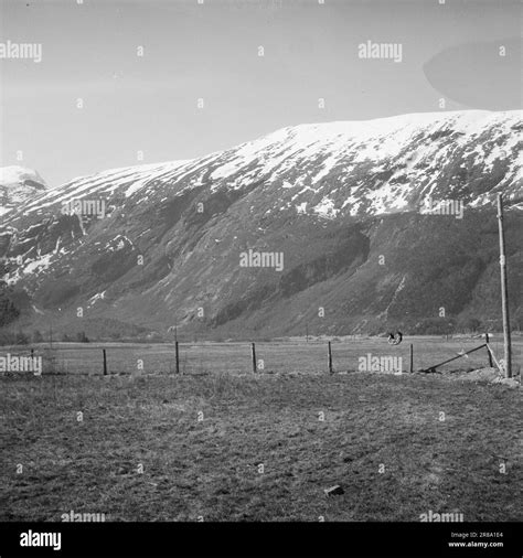 Current 12 1 1947 Aura Plant Technologys Sleeping Beauty Wakes Up