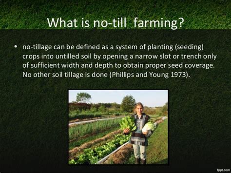 The No Till Farming