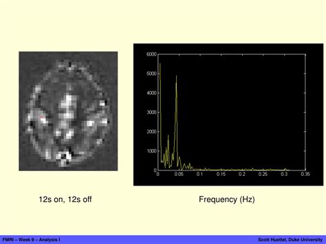 Ppt Fmri Data Analysis I Basic Analyses And The General Linear