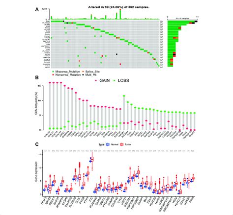 The Landscape Of Genetic Variation Of Nrgs A The Waterfall Plot