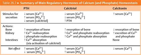 Calcium Metabolism Physiology An Illustrated Review