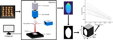 Raman Hyperspectral Imaging System And Roi Extraction Process