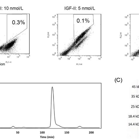 Affinity Maturation Of The Ead By Random Mutagenesis And Yeast Display