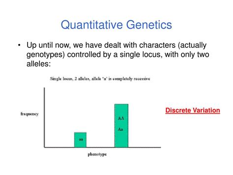 Ppt Quantitative Genetics Powerpoint Presentation Free Download Id